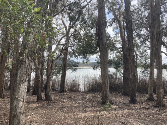 Day #2 – Cudgen Lake and Cudgen Nature Reserve | Team Perkins