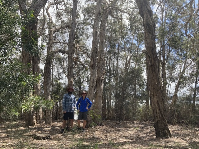 Day #2 – Cudgen Lake and Cudgen Nature Reserve | Team Perkins
