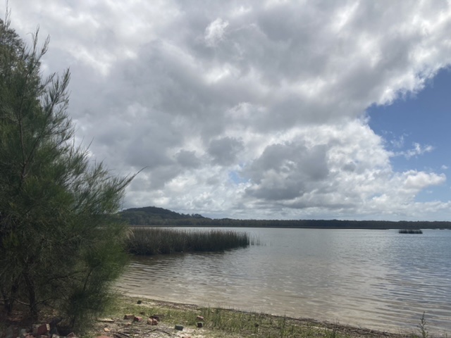 Day #2 – Cudgen Lake and Cudgen Nature Reserve | Team Perkins